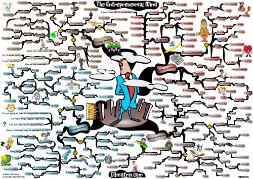 The Entrepreneurial Mind - IQ Matrix